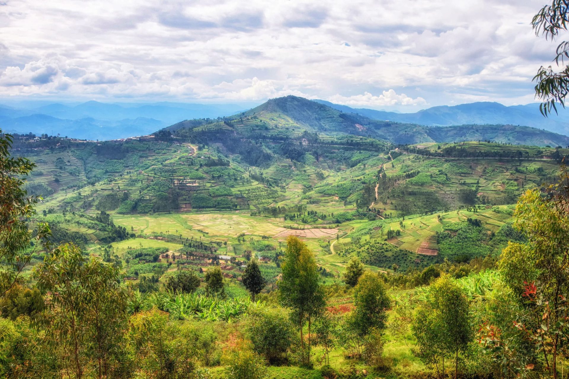 Voyage luxe au Rwanda - Trek Gorilles et Safari - Voyages de Luxe